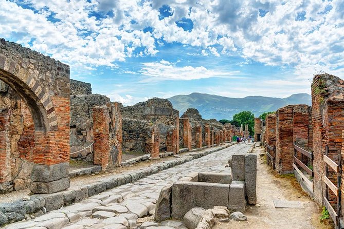 Private Tour Pompeii and Winery - Practical Details and Logistics
