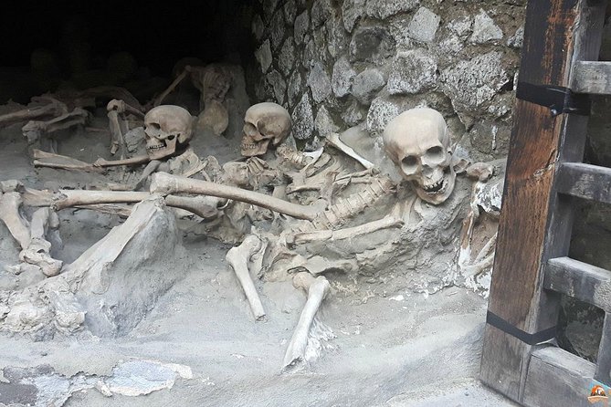 Private Tour Pompeii Herculaneum Vesuvius - Who Should Consider This Tour?