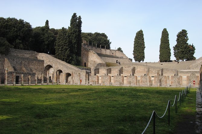 Private tour Pompeii Vesuvius and Winery from Sorrento - Wine Tasting and Lunch: Relaxing on the Volcano’s Slopes