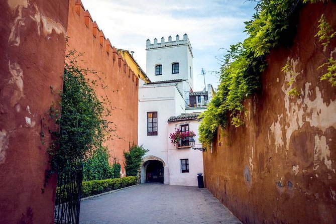 Private Tour: Seville City Tour (Cathedral, Royal Alcázar and Santa Cruz) - Who Should Book This Tour?