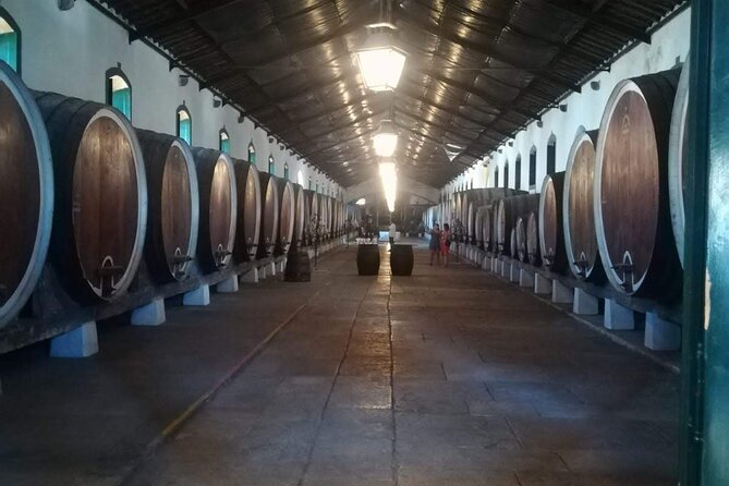 Private Tour Sintra With Wine Tastings - FAQs