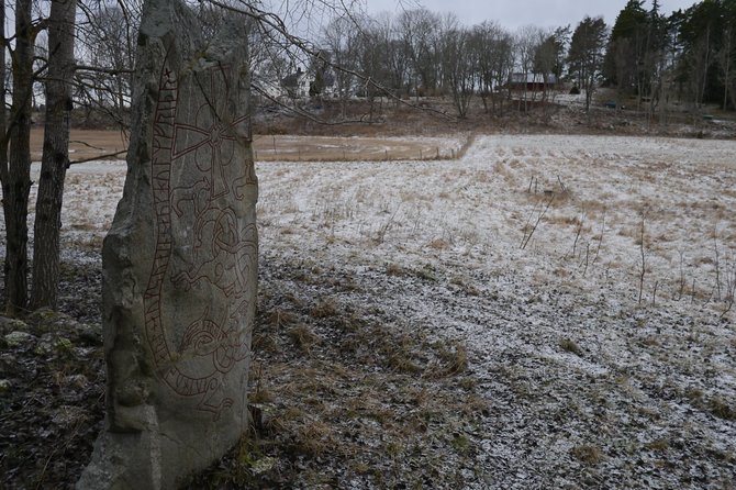 Private Tour: Swedish Iron Age Excursion from Stockholm 3h - Who Should Consider This Tour?