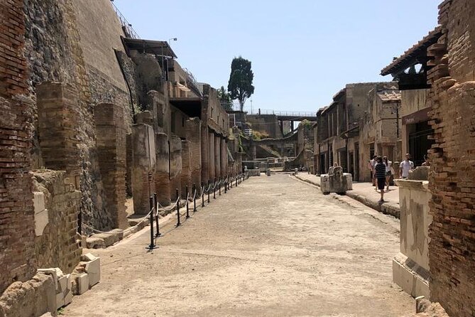 Private Tour to Pompei and Herculaneum: Skip-the-line Tickets - What’s Not Included