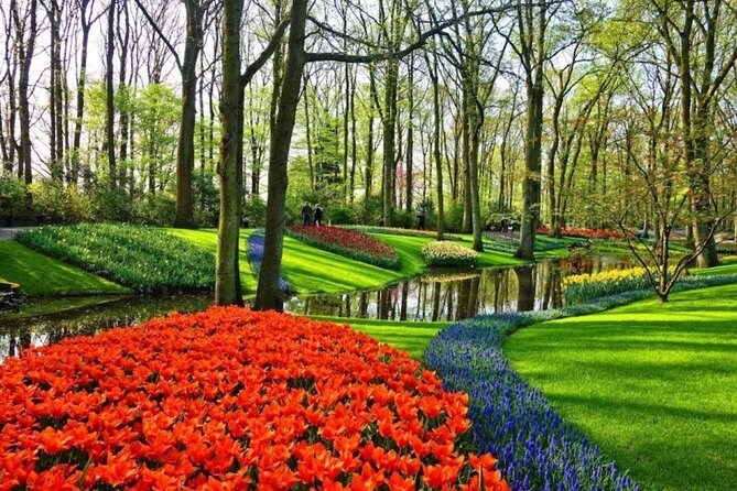 Private Tour to the Tulip Experience with Keukenhof Visit - Authentic Experiences & Traveler Feedback