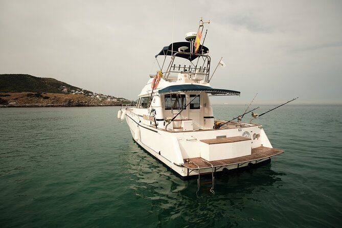 Private Tour with Dolphin Watching in Algeciras Bay - The Experience Itself