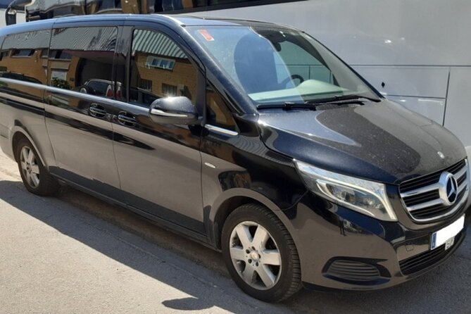 Private Transfer from Biarritz to Bilbao Cruise Port - Who Would Benefit Most?
