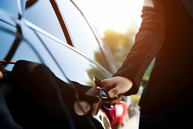 Private Transfer from Catania to Ragusa with Tour options - Who Should Consider This Transfer?