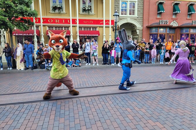Private Transfer from DisneyLand Paris - The Practical Details and Potential Drawbacks