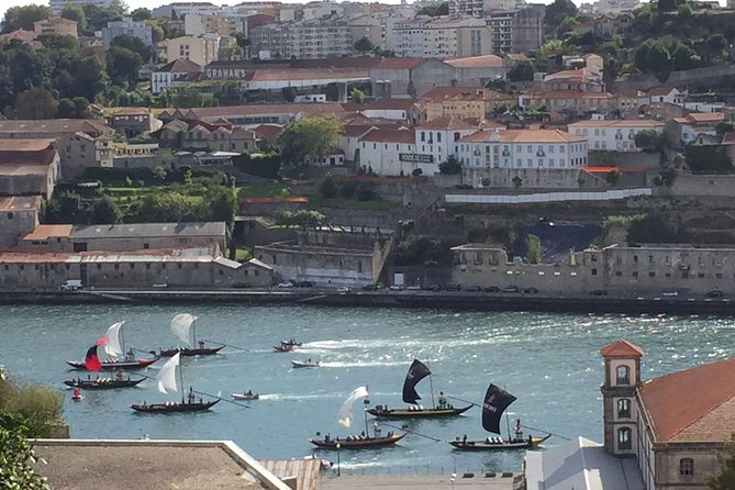 Private transfer from Oporto to Lisbon or Lisbon to Oporto - Who is this experience best for?