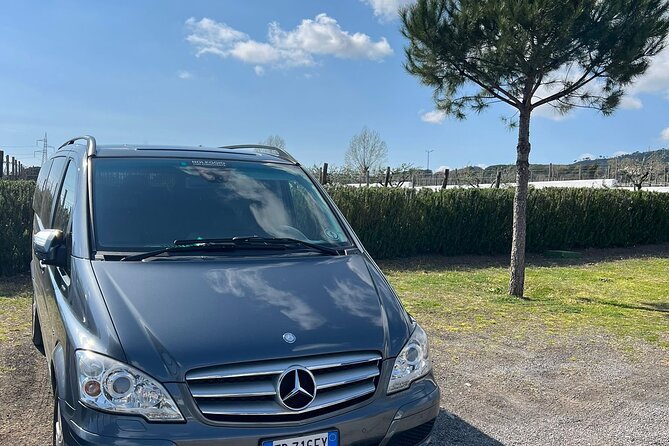 Private Transfer from Positano to Naples Airport - Real Traveler Feedback