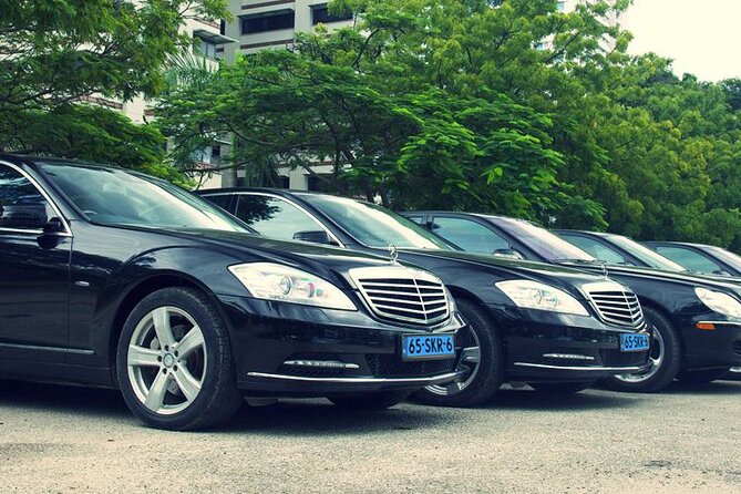 Private Transfer from The Hague City to Schiphol Airport - The Meeting Point and Convenience