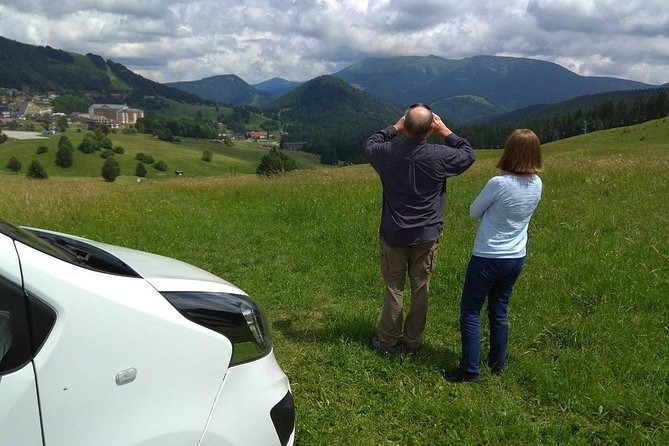 Private transfer in a Sanitized Car Prague to Vienna with 2h stop Cesky Krumlov - Insights from Travelers Reviews