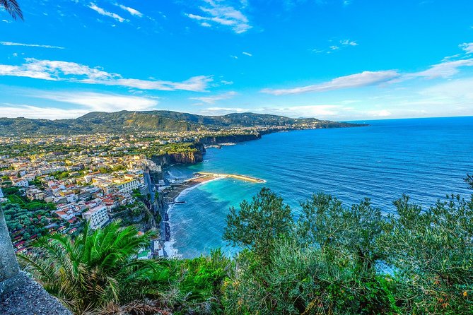 Private Transfer: Naples to Sorrento, 2h in Vesuvius or Pompeii - The Value of Flexibility and Comfort