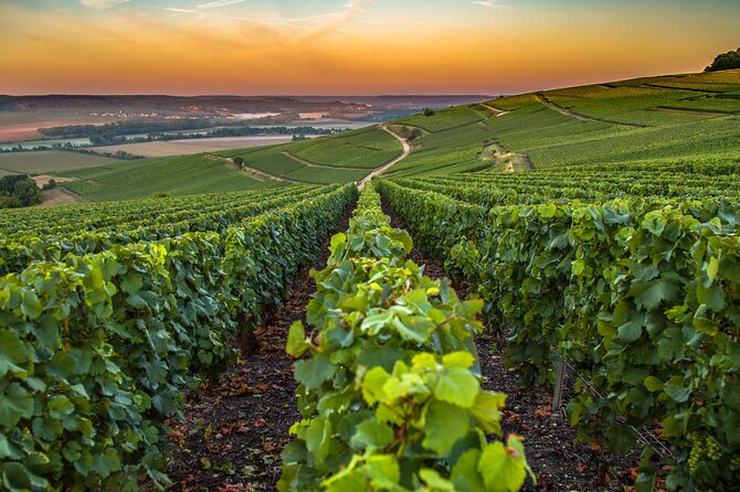 Private Transfer: Paris Airport CDG to Reims / Champagne by Van - A Closer Look: The Ride and the Details