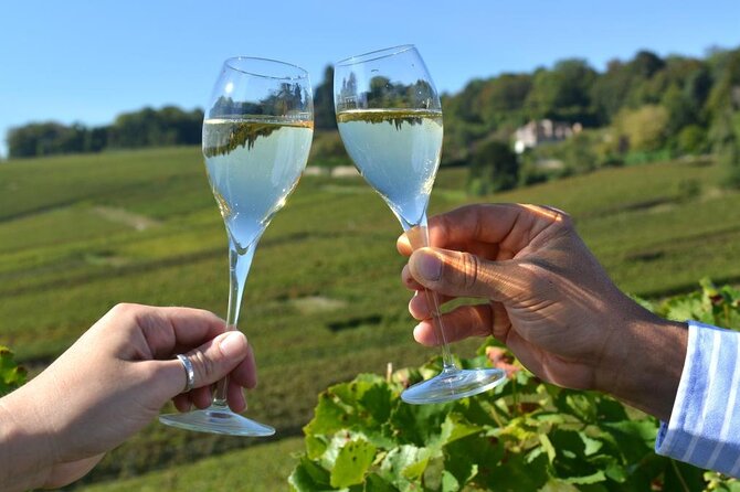 Private Transfer: Reims / Champagne to Paris Airport CDG by Van - Unique Aspects and Traveler Insights