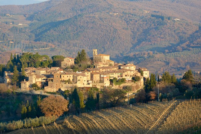 Private Tuscany Excursion. Florence American Cemetery, Greve in Chianti, Winery - Who Should Book This Tour?