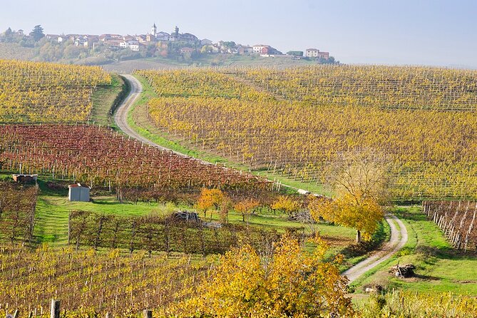 Private Vespa Tour "Among the hills of Barolo and Barbaresco" - Why This Tour is a Great Choice