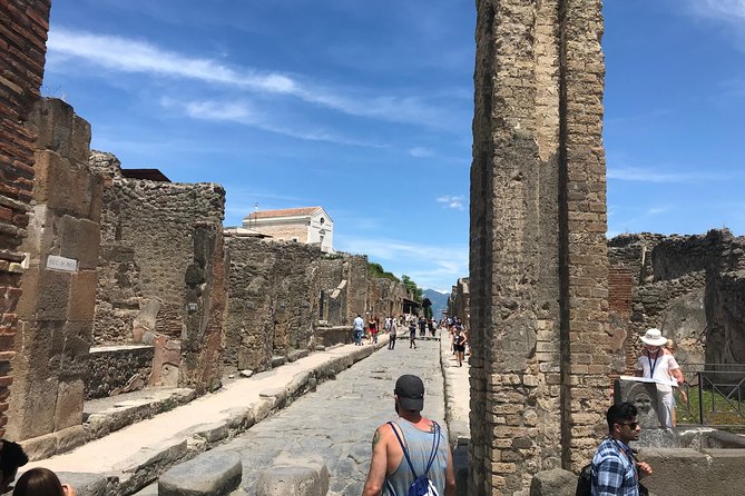 Private VIP tour to Pompeii Ruins with a Private Guide - Authentic Feedback from Travelers