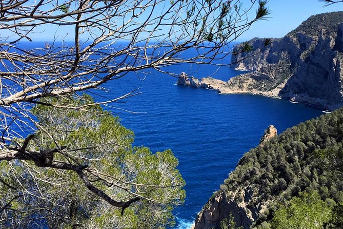 Private Walking & Hiking Experience Ibiza - FAQ: Private Walking & Hiking Experience Ibiza