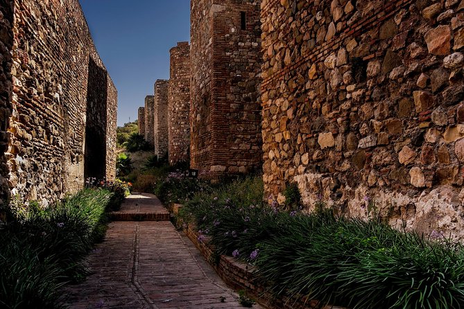 Private Walking Tour in Málaga - The Sum Up