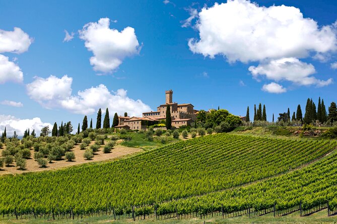 Private Wine & Culture Tour Hidden Tuscany: Pitigliano & Sovana - The Practicalities: What to Expect