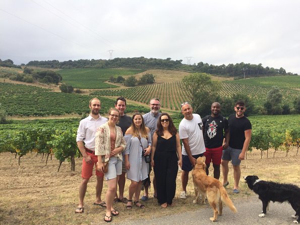 Private Wine day tour from Carcassonne and around. - Authentic Experiences and Honest Insights