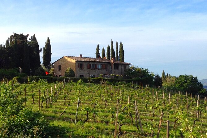 Private wine & EVO Oil Tasting with Tuscan Meal - Price and Value Analysis