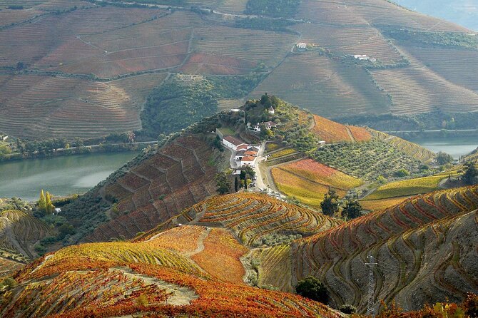 Private Wine & Food Tour in Douro - Authenticity and Traveler Feedback