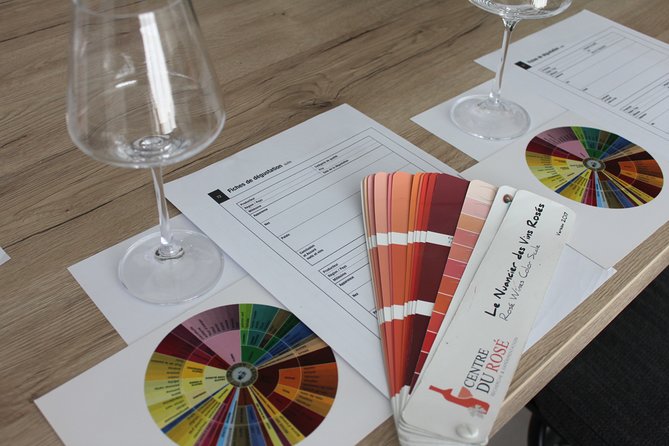 Private wine tasting at home, Gulf of Saint-Tropez - Who will love this experience?