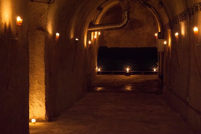 Private Wine Tasting by Party in Belgrade - Final Word