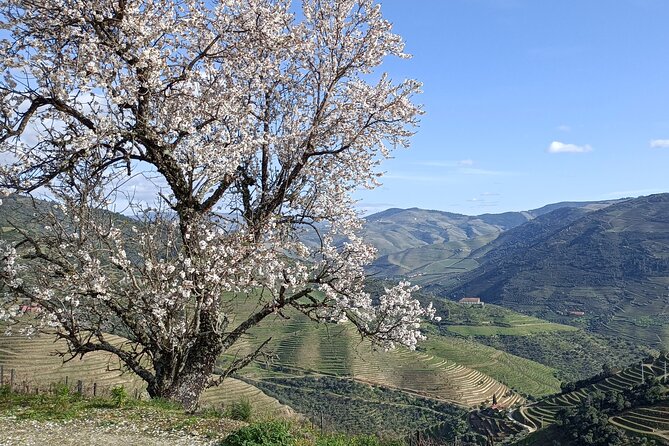 Private Wine Tour - Who Would Love This Experience?