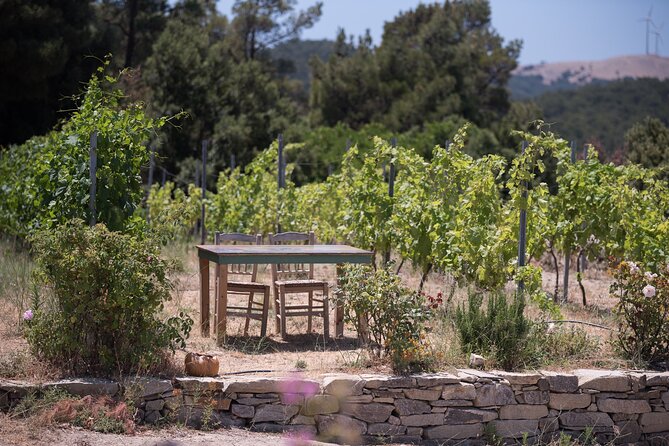 Professional Tour with Winemaker in Ikaria - The Sum Up