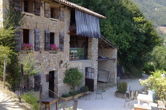 Prosecco Wine Tour. Full day from Venice - Who Will Love This Tour?