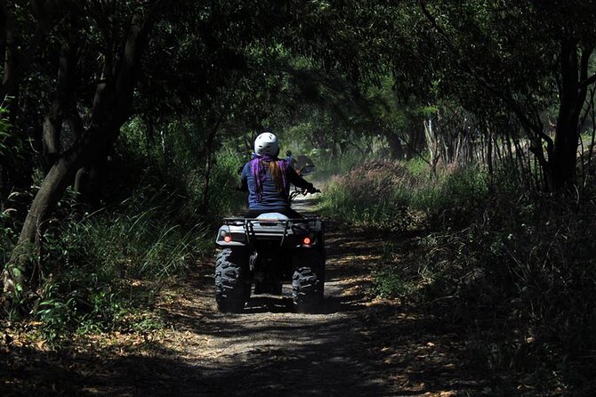 Quad Biking in Belek Forests & Taurus Mountains - Who Will Love This Tour?