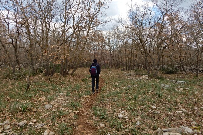 Querceti di Quasano: excursion in the Alta Murgia National Park - Practical Details and Travel Tips