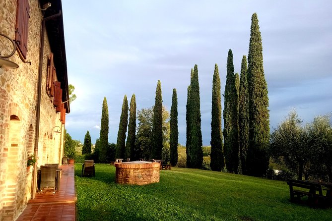 "Ramble Through The Rolling Hills Of Chianti" with lunch & Wine Tastings - Learning the Secrets of Wine Production