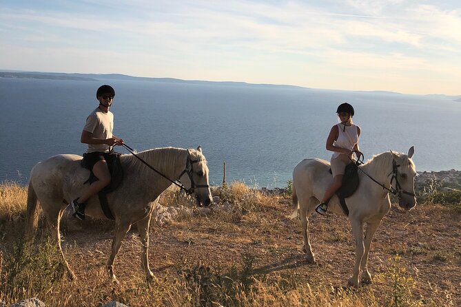 Ranch 22 Podstrana, " Horse riding 12 km from SPLIT " - The Highlight: Post-ride Snacks and Wine