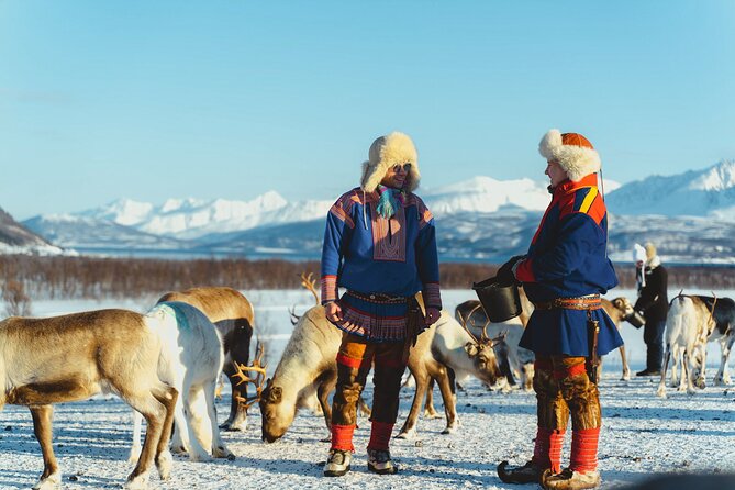 Reindeer Feeding and Sami Culture Afternoon Departure - Transportation & Group Size
