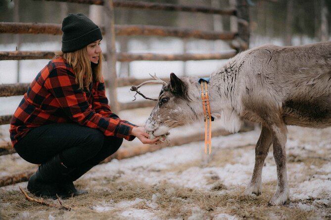 Reindeer Herding and a Snowmobile Slegh Ride - Snowmobile Sleigh Ride: A Scenic Journey