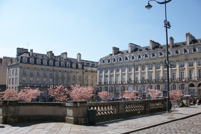 Rennes Private Walking Tour With A Professional Guide - Price and Value