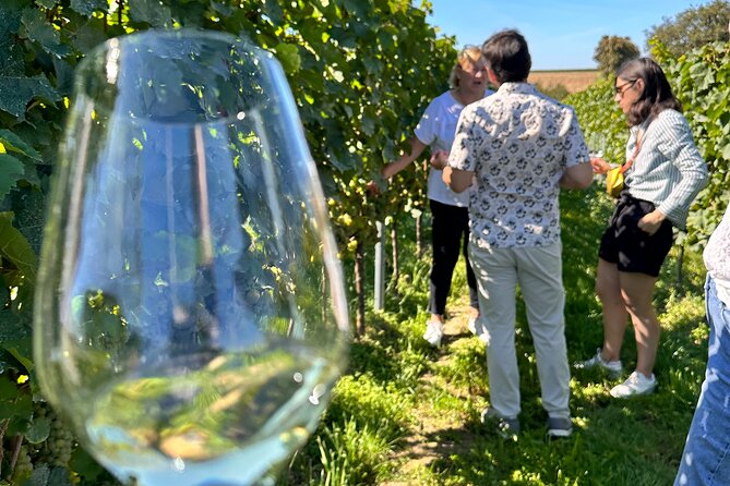 Rhine Valley Wine Tasting Tour from Frankfurt and Mainz - Who is This Tour Perfect For?