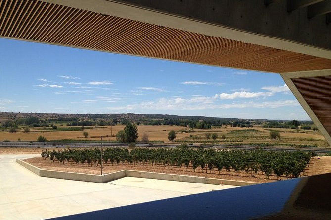 Ribera del Duero Wineries Guided Tour & Wine Tasting from Madrid - Historic Villages and Castles
