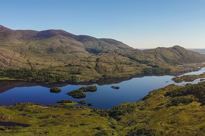 Ring of Kerry Private Day Tour from Killarney - Authentic Feedback from Travelers