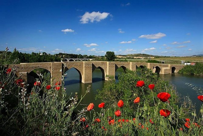 Rioja Alavesa Wineries and Medieval Villages Day Trip - FAQ