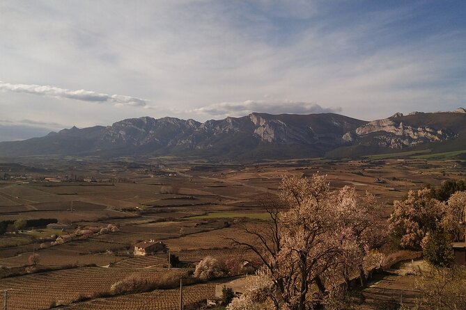 Rioja Wine Country Day Trip - Who Will Love This Tour?