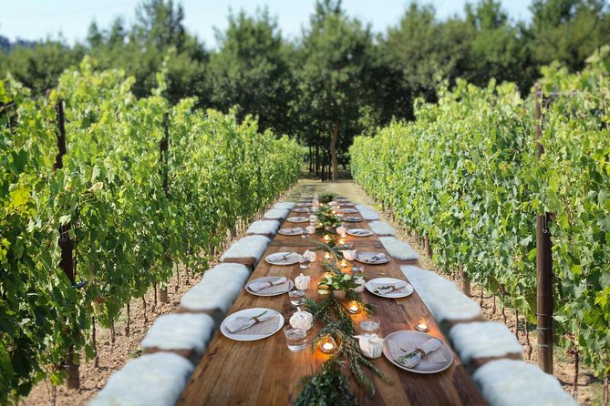 Romantic Lunch in the Vine Rows in Tuscany - Who Will Love This Tour?