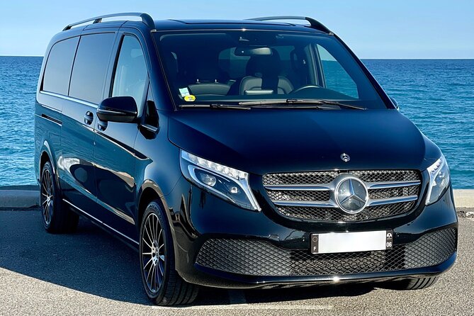 Rome Airport FCO Transfer to Civitavecchia Port by Luxury Van - Who Should Consider This Transfer?
