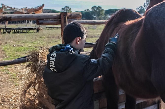 Rome : Horseback Riding with meals and wine included - Price and Value: Is It Worth It?