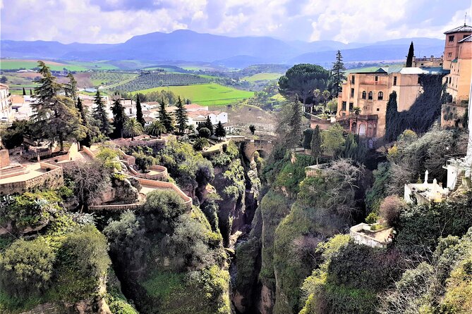 Ronda group walking Tour - Authentic Experiences and Real Traveler Feedback
