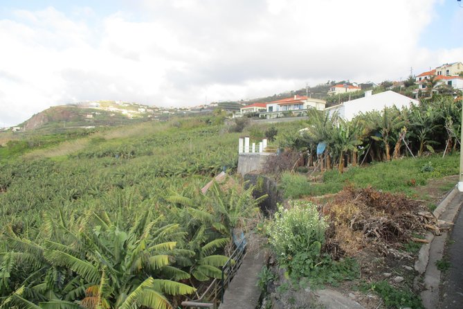 Rota do Açucar - Levada Nova (Half Day Walk) - Authenticity, Accessibility, and Overall Experience